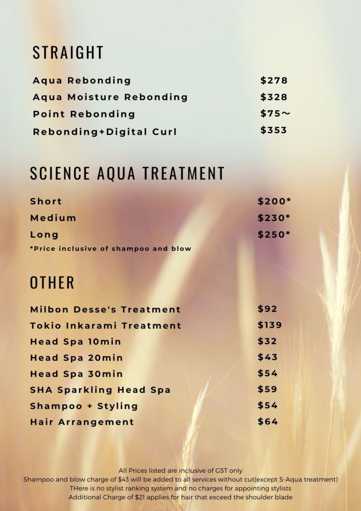 New Menu | Best Hair Beauty Salon Art-Noise Blog